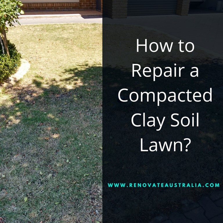 How to Repair a Compacted Clay Soil Lawn | Renovate Australia